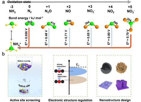 A Electrochemical Reduction Of N 2 N 2 O No No 2 No 2 And No 3