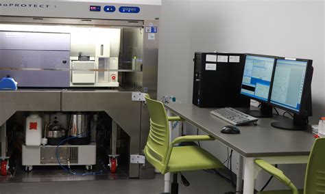 Msu Core Program At Ryan Fitzsimons Blog