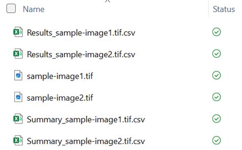 Writing Your First Imagej Macro Imagej Macro Workshop