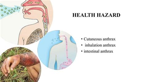 Pathogen Safety Data Sheet Ppt