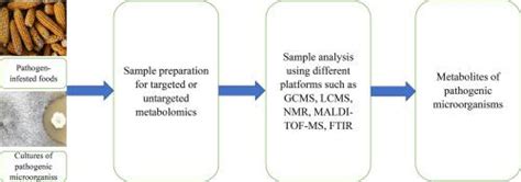 测定病原微生物代谢物的代谢组学方法：综述food Research International X Mol