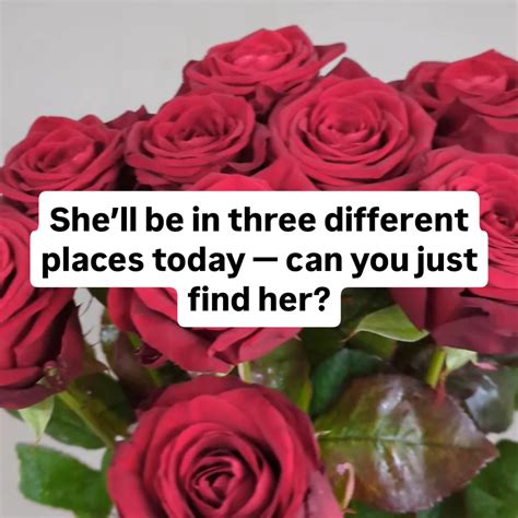 Sharon Dower Floral Sharon Dower Floral Innovations