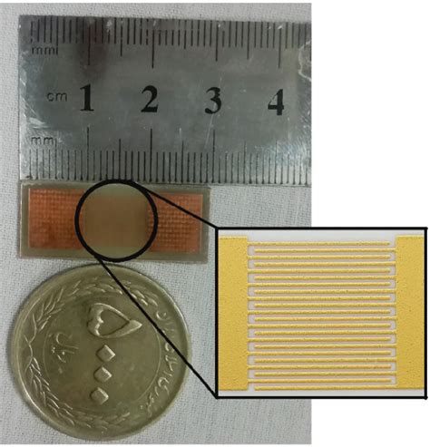 The Interdigitated Electrodes On A Pcb Download Scientific Diagram