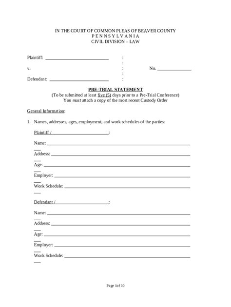 Pre Trial Statement Custody Cases Only Fill Out And Sign Online Dochub