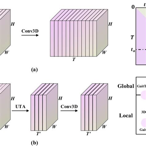 a fine level temporal feature extraction b coarse level temporal