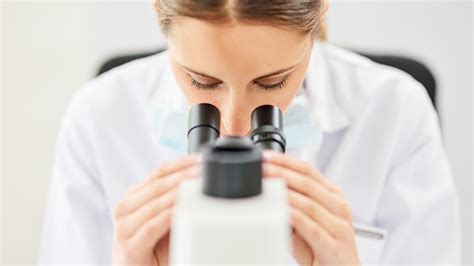 Understanding Key Categories In Industrial Chemistry