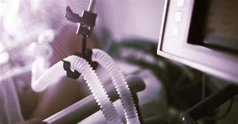 Public Health Professionals Say Euthanasia Debate Is Premature