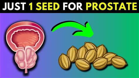 Prostate Enlargement A Single Seed Effective Approach Prostrate