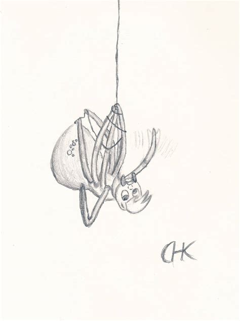 Derpy Spider By Nagashizuri On Deviantart