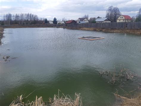 Microalgae Chlorella Aquaculture Sustainability Fishfarming