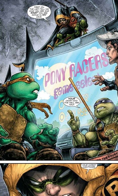 Robin And Tmnt In 2025 Teenage Mutant Ninja Turtles Art Ninja Turtles