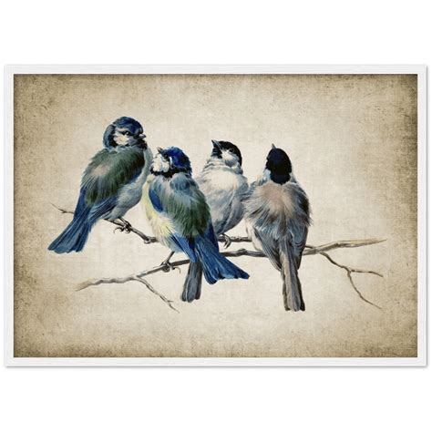 Vintage Bird Art