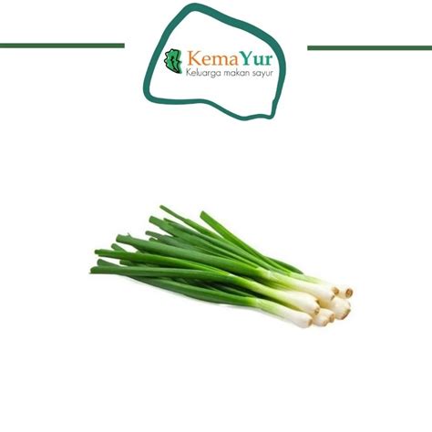 Jual Daun Bawang Pre Pack Shopee Indonesia
