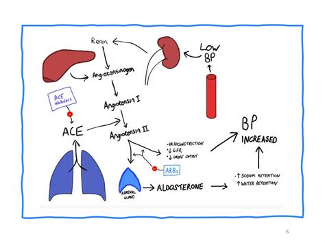 Acute Limb Weaknesspptx