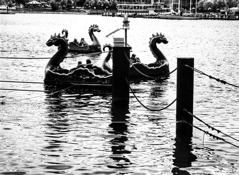 Thar Be Dragons R Blackandwhite