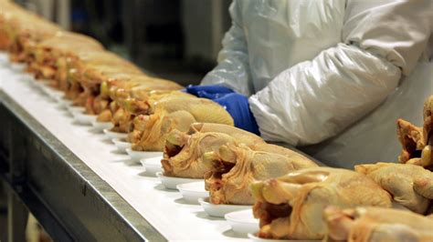 Eeuu Carne De Pollo Contaminada Progreso Hispano News