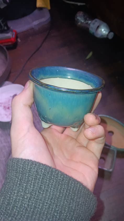 Got Some Pots To Start The Beginning Of My Bonchi Journey R Bonchi