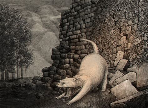 Alvina Of The Darkroot Wood Dark Souls And 1 More Drawn By Kaminari