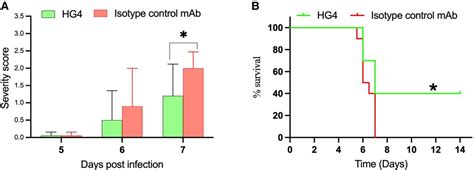 Figure 2 From Inhibition Of The Lectin Pathway Of Complement Activation Reduces Acute