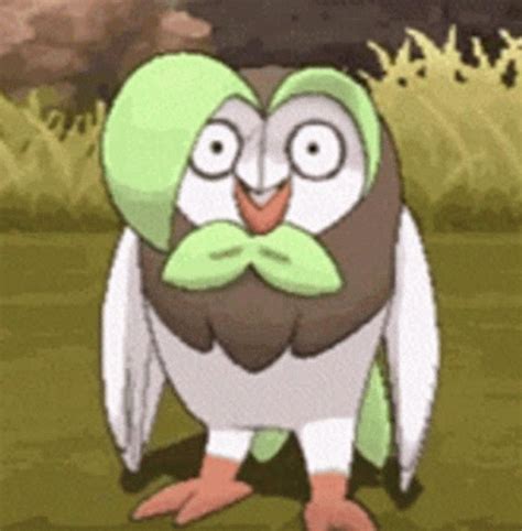 Flabbergasted Dartrix R Pokememes