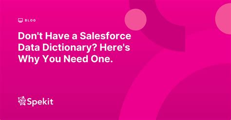 Dont Have A Salesforce Data Dictionary Heres Why You Need One