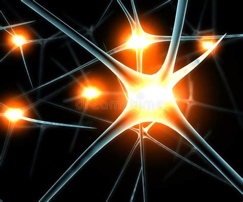 Funções Da Sinapse Dos Neurônios Do Cérebro Ilustração Stock