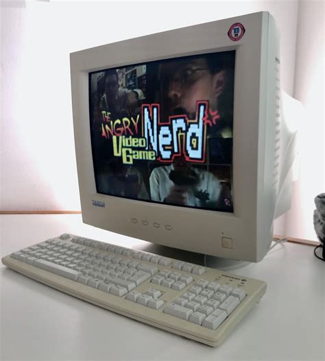 The Real Avgn Experience Scrolller