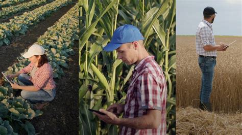 Variable Rate Technology In Agriculture An In Depth Look At The