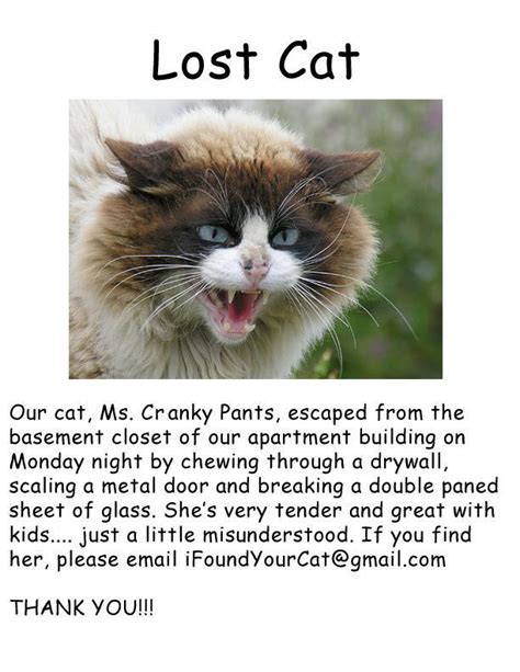 16 Brilliant And Hilarious Missing Cat Posters