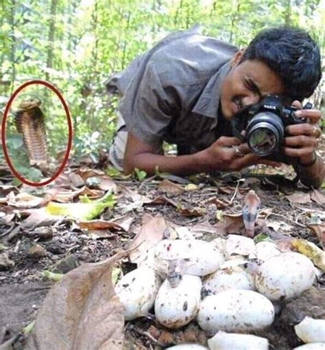 නයාගේ ෆොටො එක ගහපු ඩයල් එක Kauda දන් නෑ 🤣 R Tkasylum