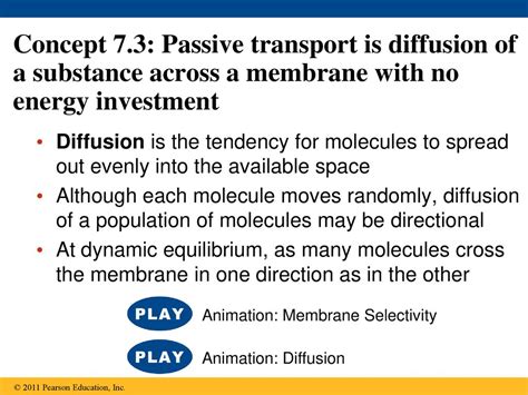 Membrane Structure And Function Ppt Download