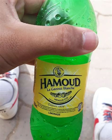 Hamoud Boulem 🇩🇿🥶 Explore Hamoudbouelem حمود بوعلام الجزائر Algerie