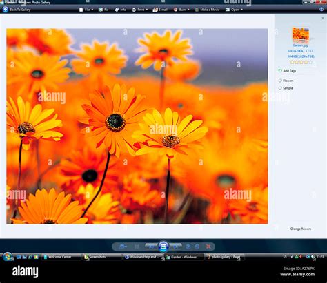 Microsoft Windows Vista English Version Windows Photo Gallery