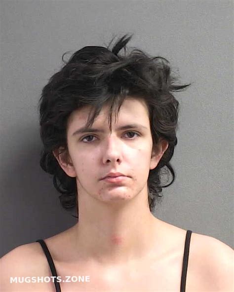Frediani Corrisa M 05312024 Volusia County Mugshots Zone