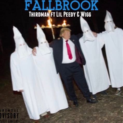 Stream Fallbrook Ft Lil Peedy And Wigg By Thirdman Listen Online For