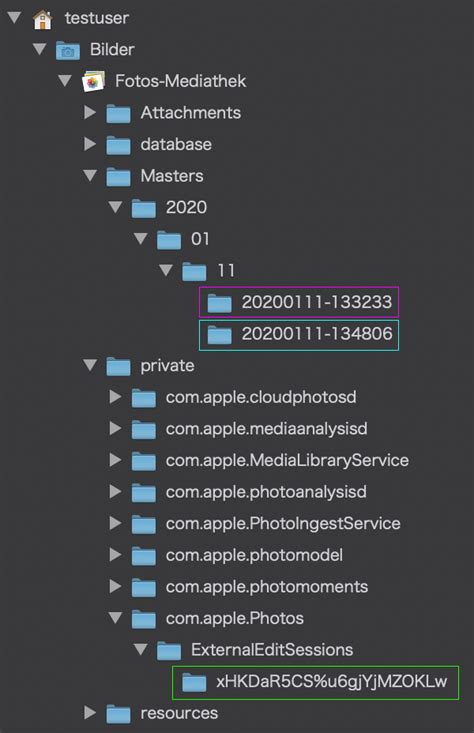 How To Import The Photo Library Macos Catalina Macos Topics Dxo Forum