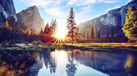 300 Free Live Wallpaper And Nature Videos Hd And 4k Clips Pixabay