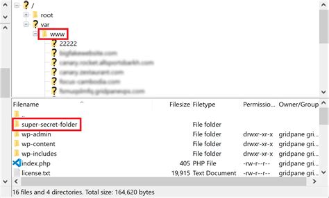How To Search And Replace In A WordPress Database GridPane