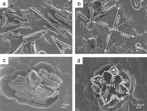 Typical Sem Micrographs Of The Primary Al 3 Ti Intermetallic Compounds