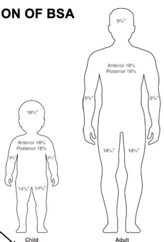 Derm16 Wound Care Flashcards Quizlet