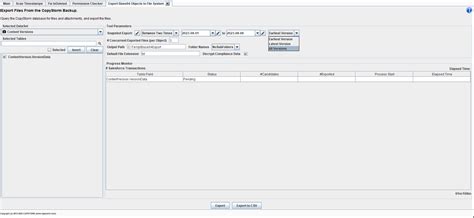 Base64 Export Capstorm Learning Center