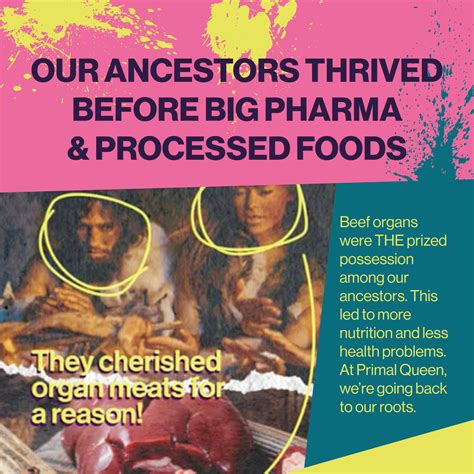 Primal Queen Female Focused Beef Organ Superfoods For Women