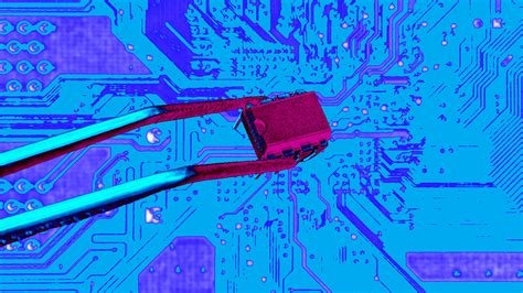 Asml Plunges On Earnings Release Taking Nvidia Ai Chip Stocks With It Fast Company