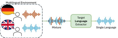 Leveraging Language Information For Target Language Extraction Ai