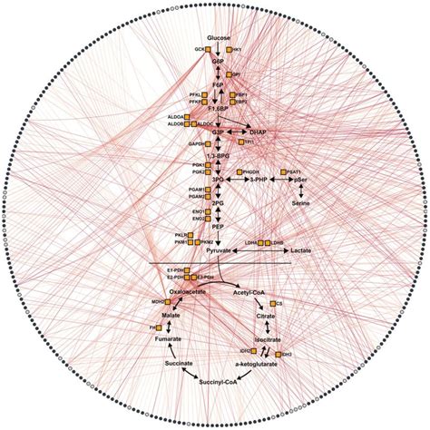 Eli Mayo On Linkedin Sometimes Reading A Paper Can Make Your Entire Day During My Final…