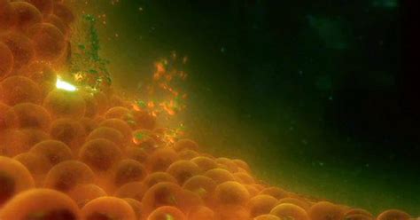 Hellboy Monster Eggs Hatching Album On Imgur