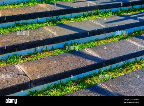 Concrete Steps With Grass Growing Between Cracks And Edges Of Each Step