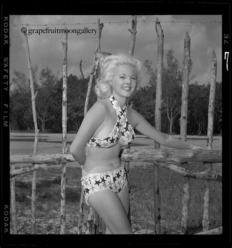 Bunny Yeager 1960s Black And White Negative Blonde Beauty Lisa Winters Star Bikini 4655091635