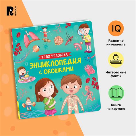 Книга Тело человека Энциклопедия с окошками купить по цене 599 ₽ в ...