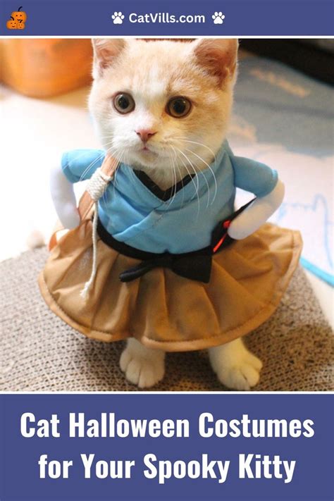 Best Cat Halloween Costumes For Your Spooky Kitty Cat Halloween